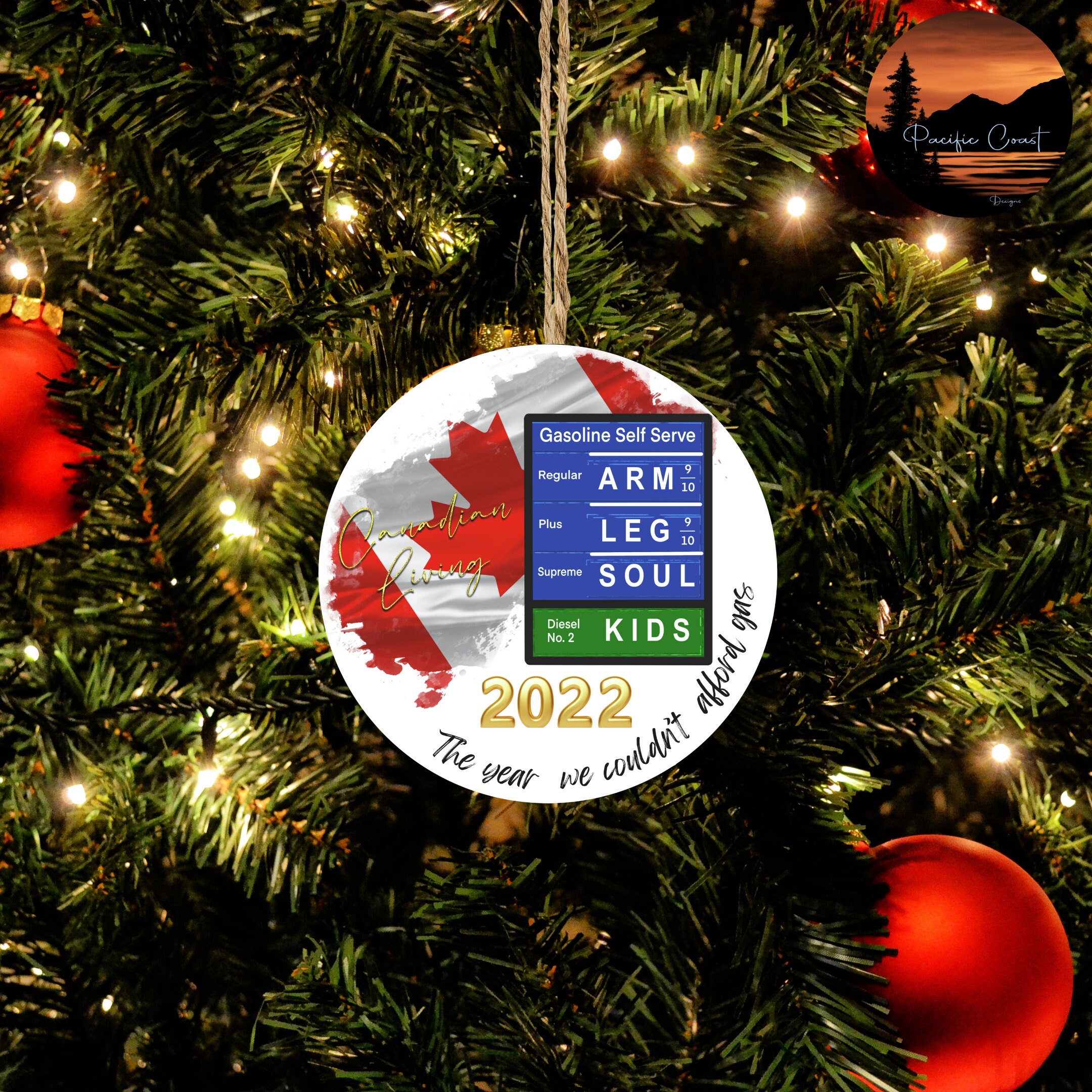 Digital Download Circle PNG Christmas Ornament 2022 the Year We Couldnt ...