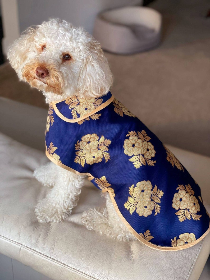 Traditional Indian Dog Kurta – Luxury Pet Clothing for Celebrations - Etsy