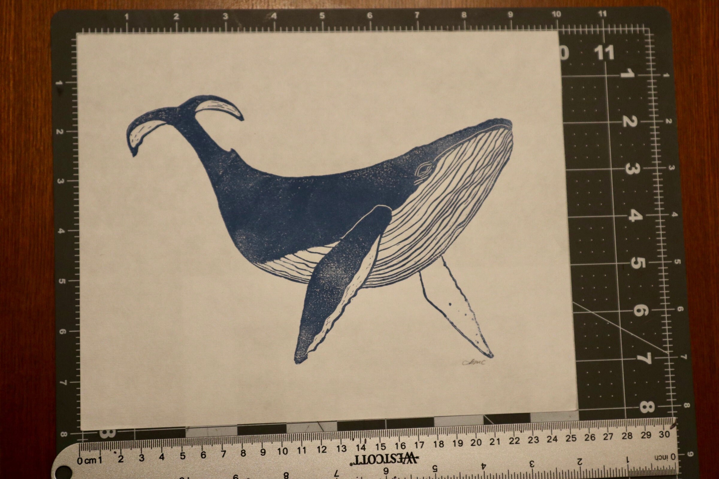 Humpback Whale Linocut Print 8 X 10 Unframed - Etsy
