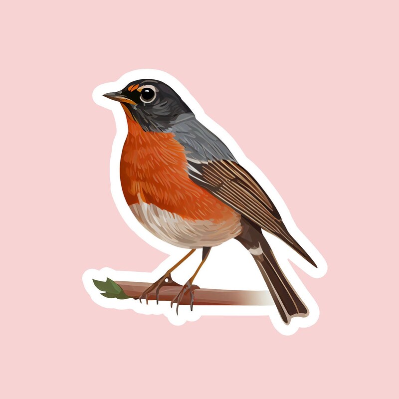 Robin Decal - Etsy