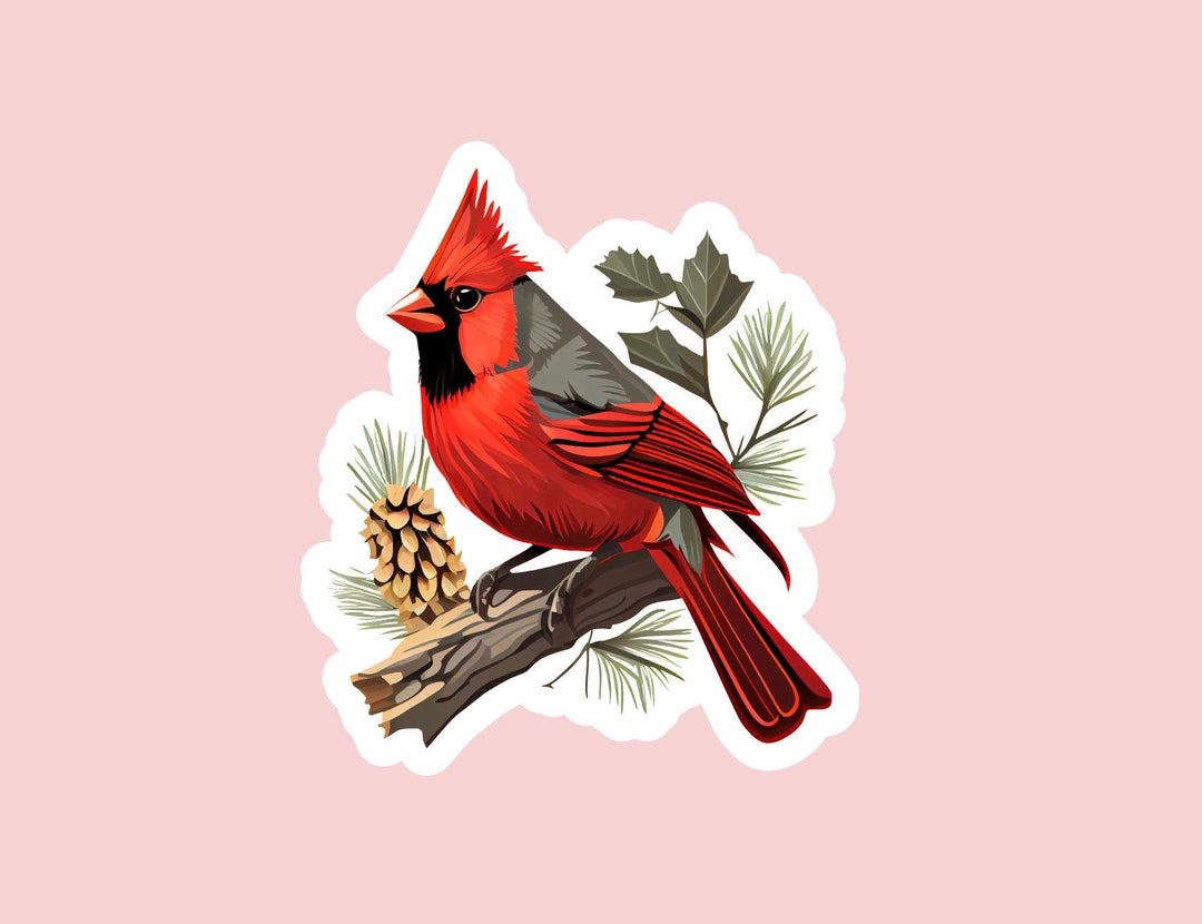 Cardinal Bird Sticker, Birds, Waterproof Stickers, Water Bottle, Laptop ...