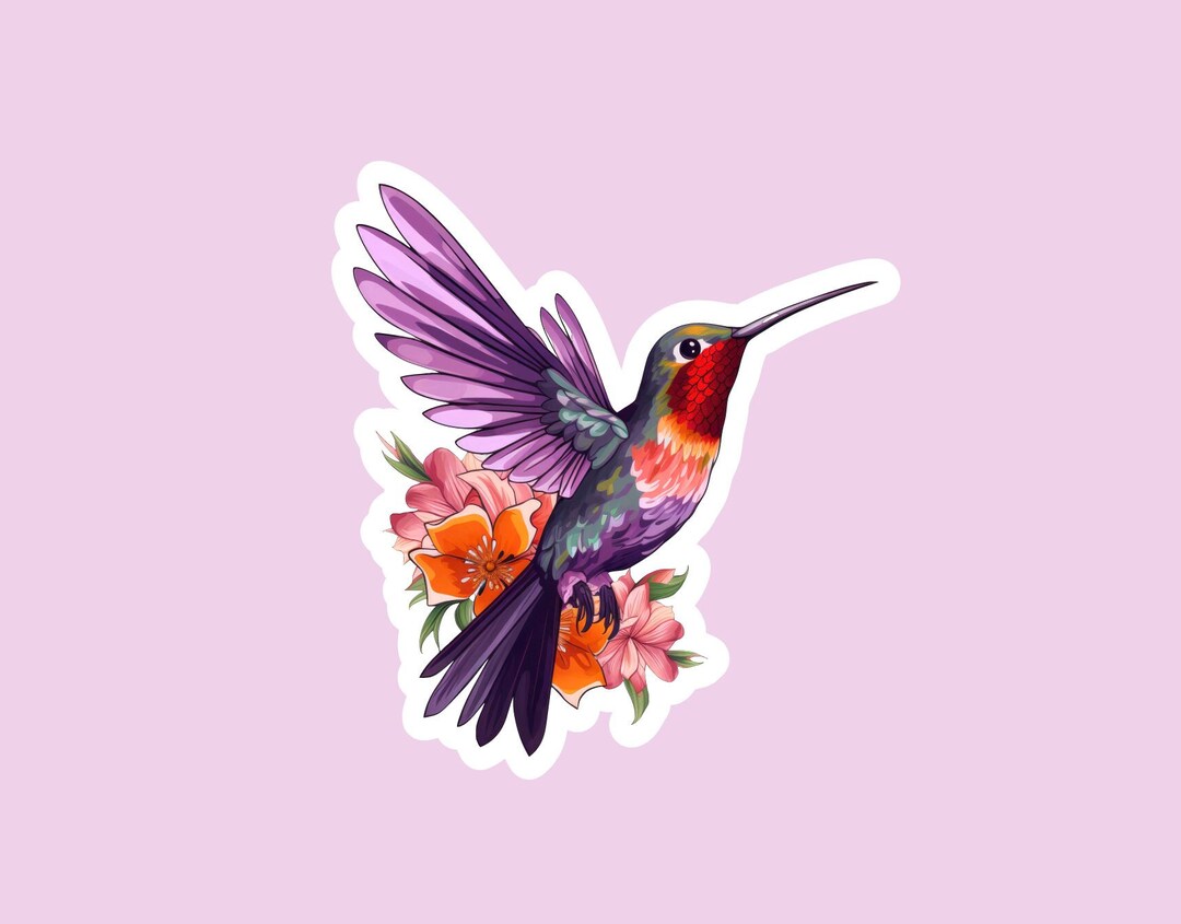 Hummingbird Sticker, Birds, Waterproof Stickers, Water Bottle, Laptop ...