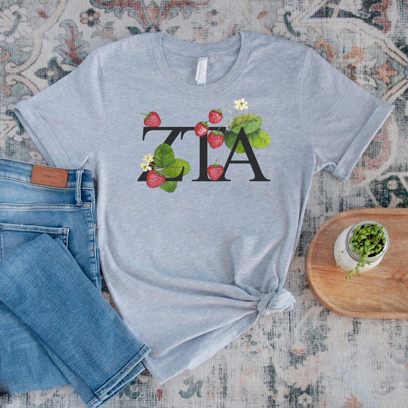 Zeta Tau Alpha - ZTA - Sorority Tee Shirt - Greek Shirt - Fraternity ...