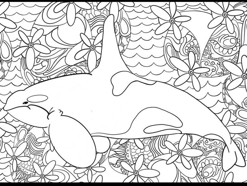 Orca Beauty Coloring Page! - Etsy