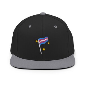 Transgender Pride Flag Snapback Hat Cool Pride Embroidered Classic ...