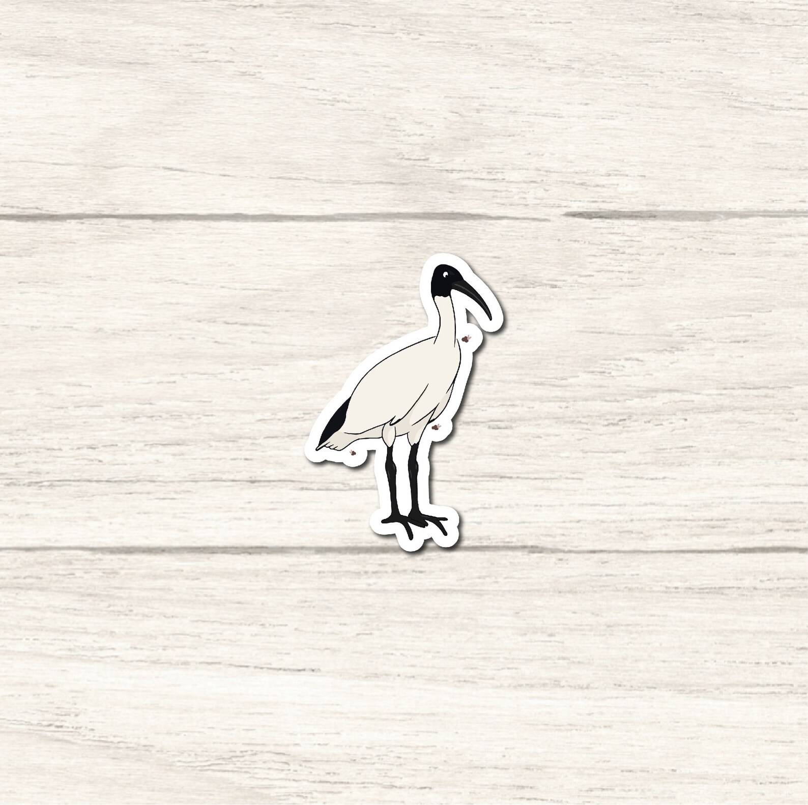 Ibis Vinyl Sticker, Bin Chicken Sticker, Die Cut Sticker, Journal ...