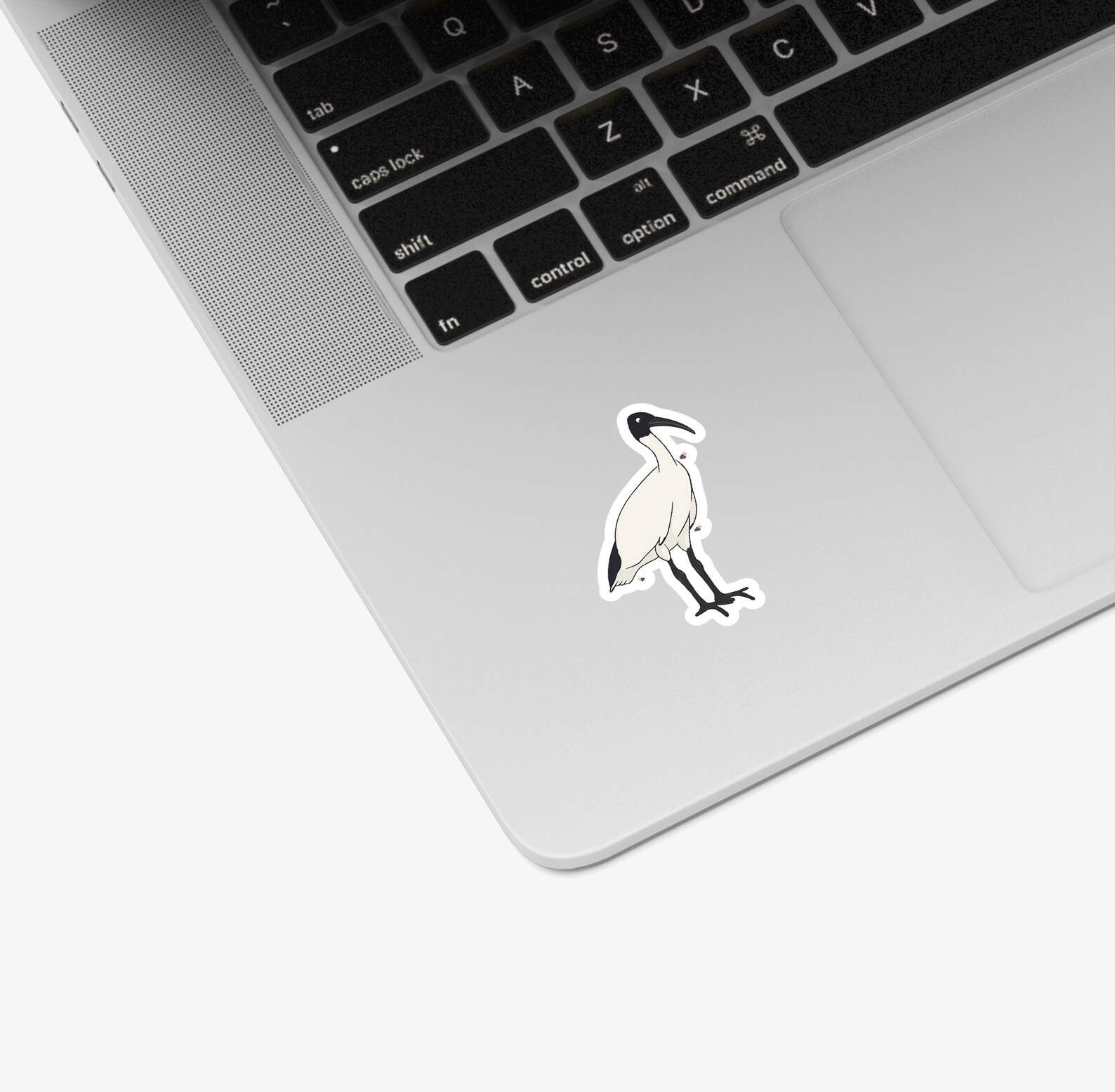 Ibis Vinyl Sticker, Bin Chicken Sticker, Die Cut Sticker, Journal ...