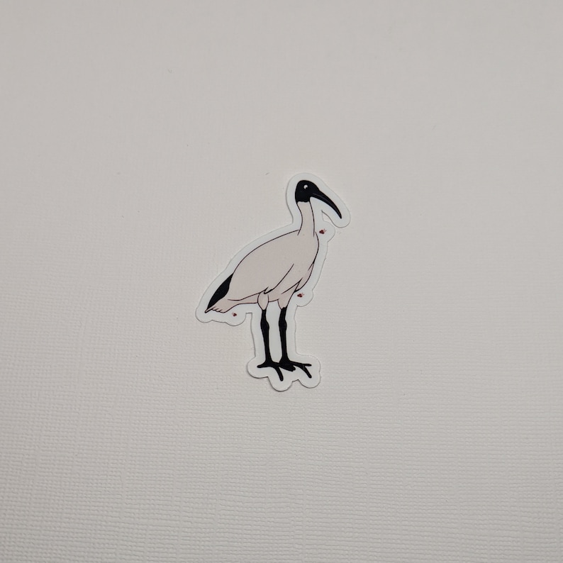 Ibis Vinyl Sticker, Bin Chicken Sticker, Die Cut Sticker, Journal ...