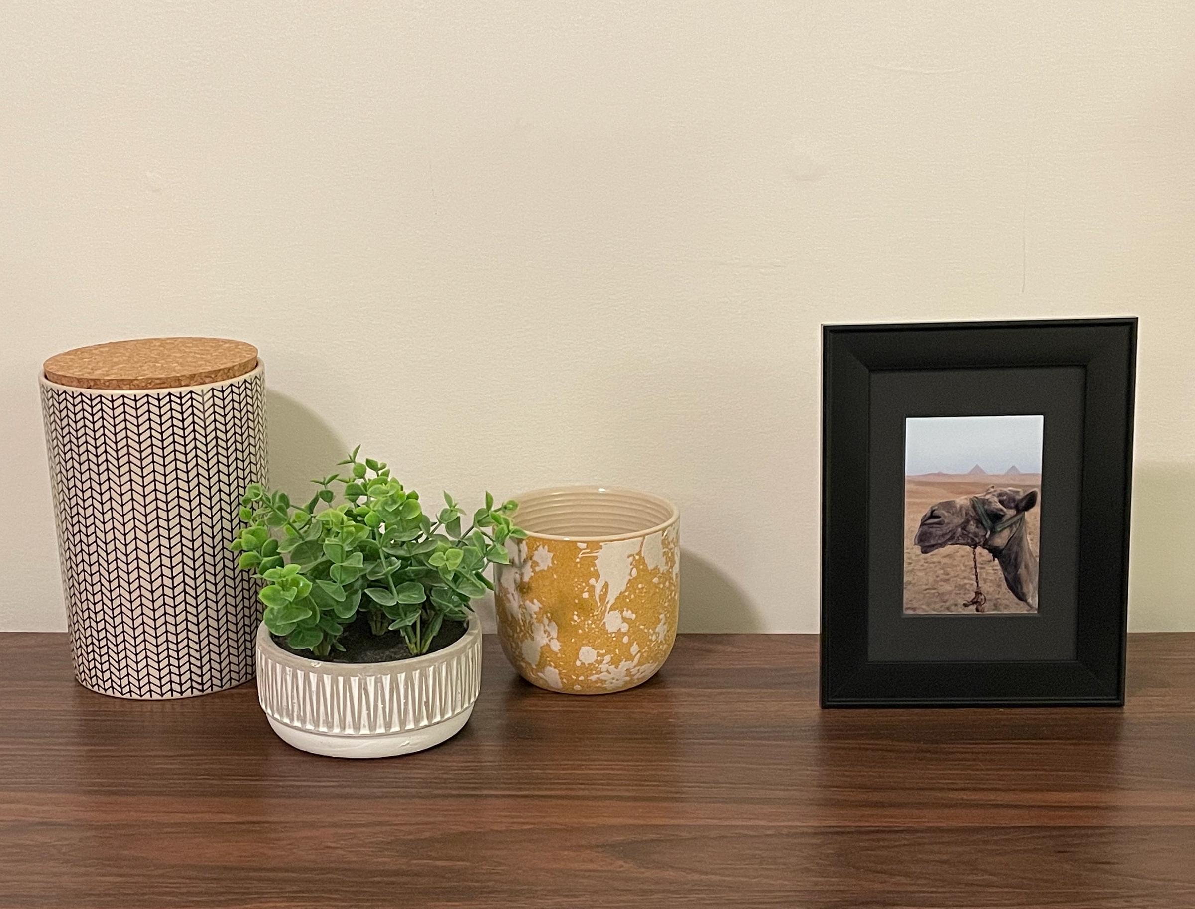 Camel & Pyramids -- Travel Photography Print | Egypt | Giza | Animal ...