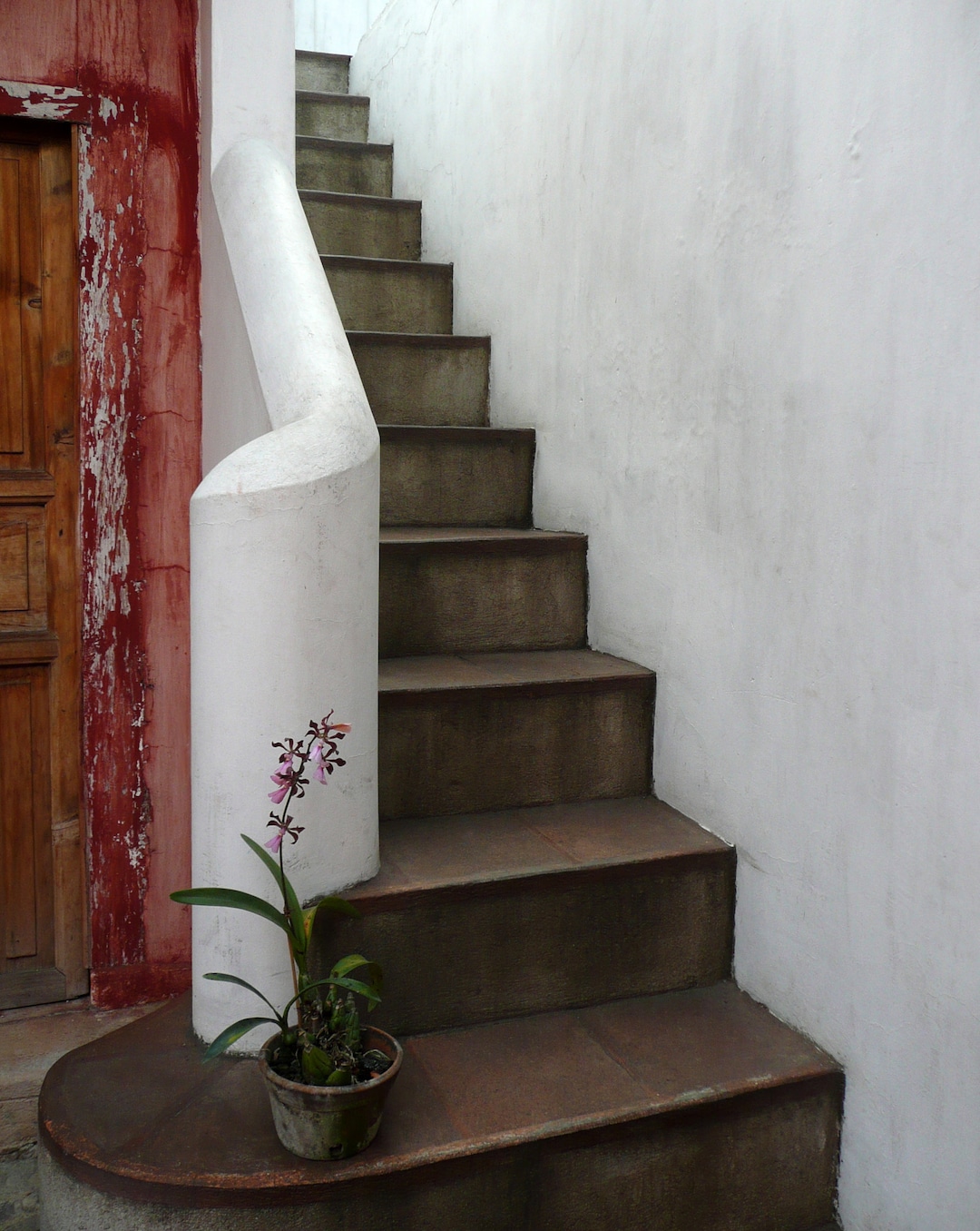 Steps in Antigua Guatemala Color Photography Print Stairs Architectural ...