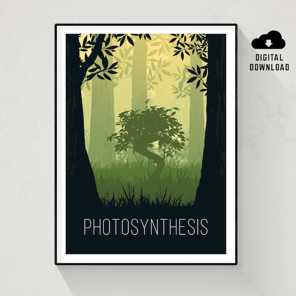 Photosynthesis Poster - Etsy