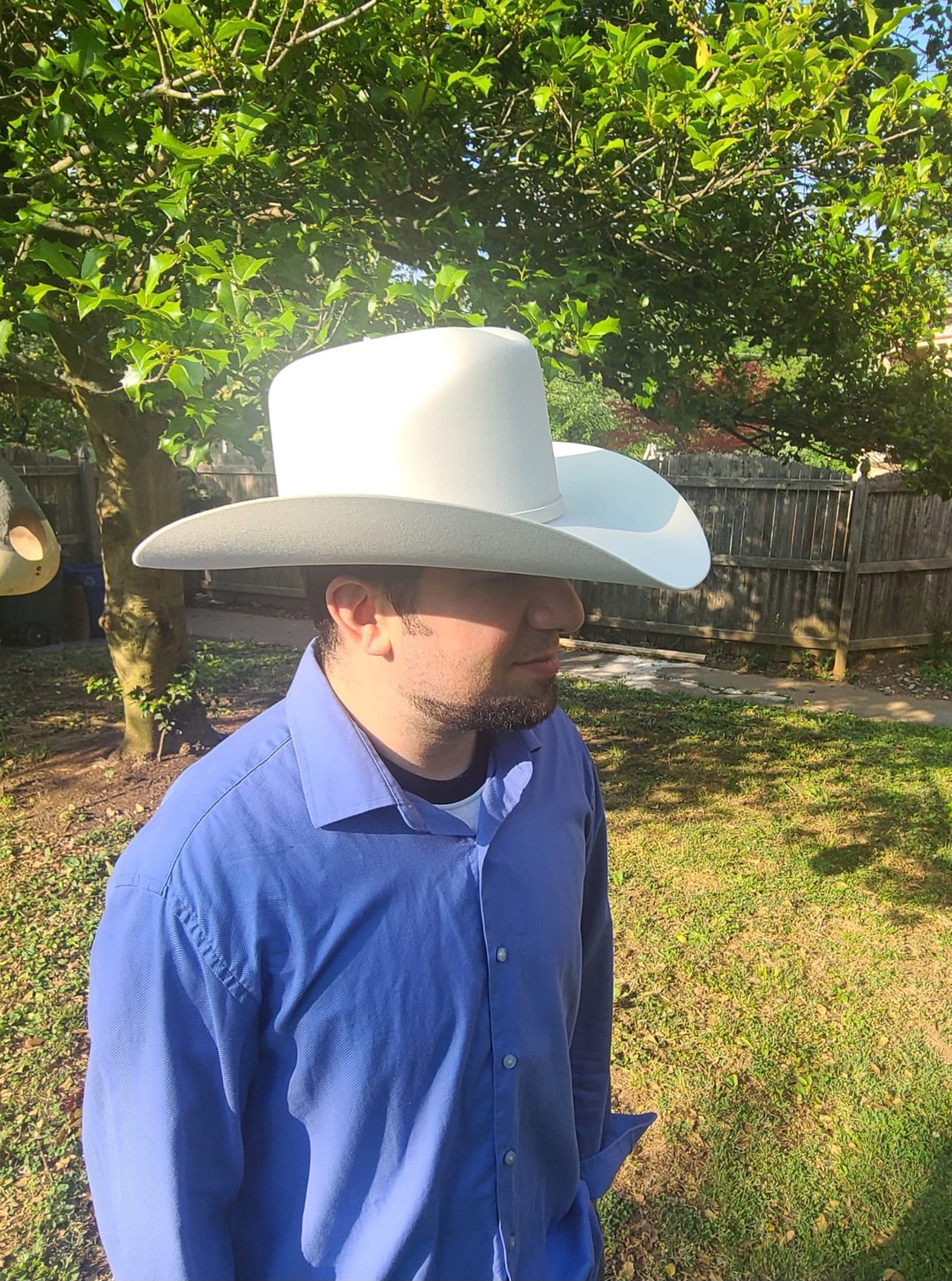 White Stetson Cowboy Hat - Etsy