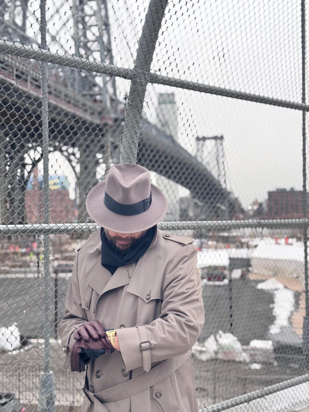 Stetson the Stetsonian Gray Fedora - Etsy