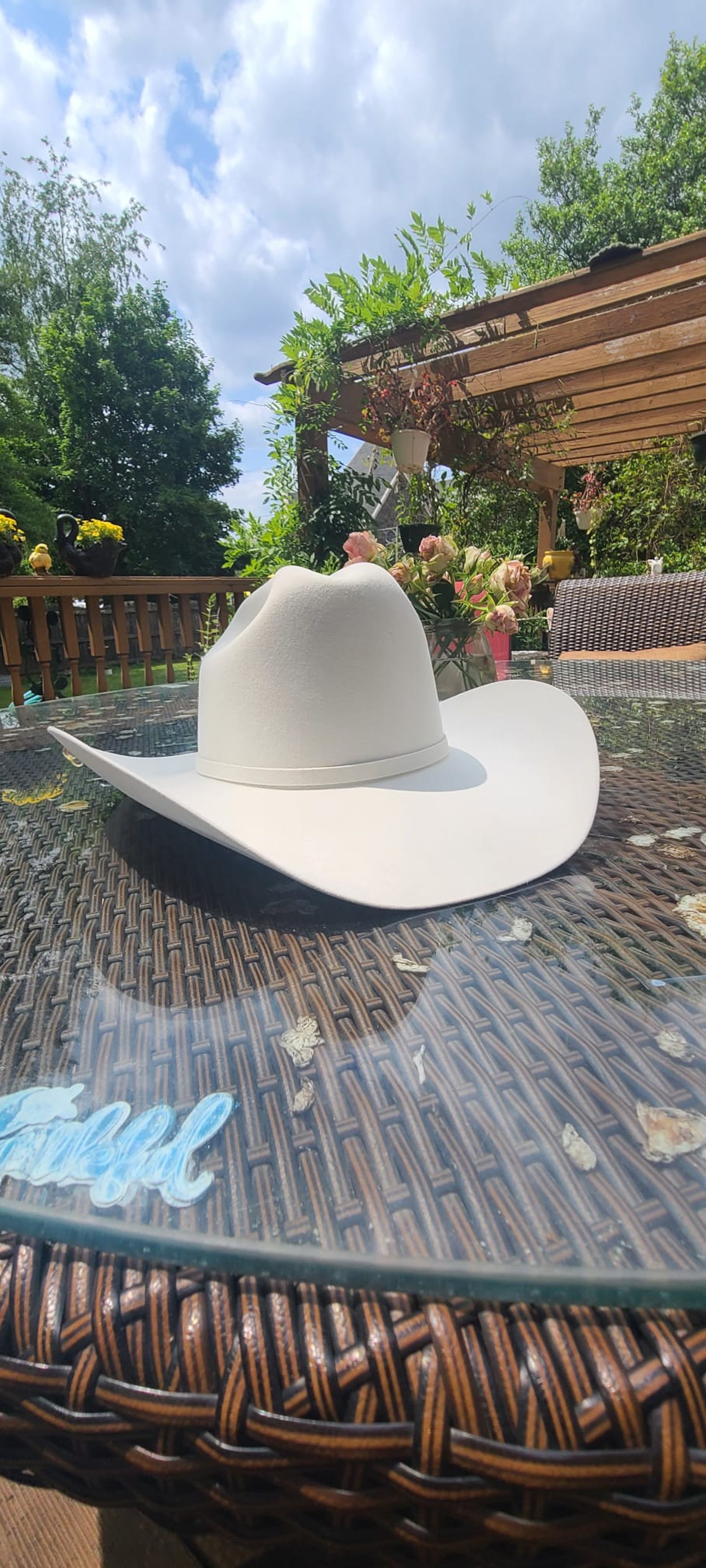 White Stetson Cowboy Hat - Etsy