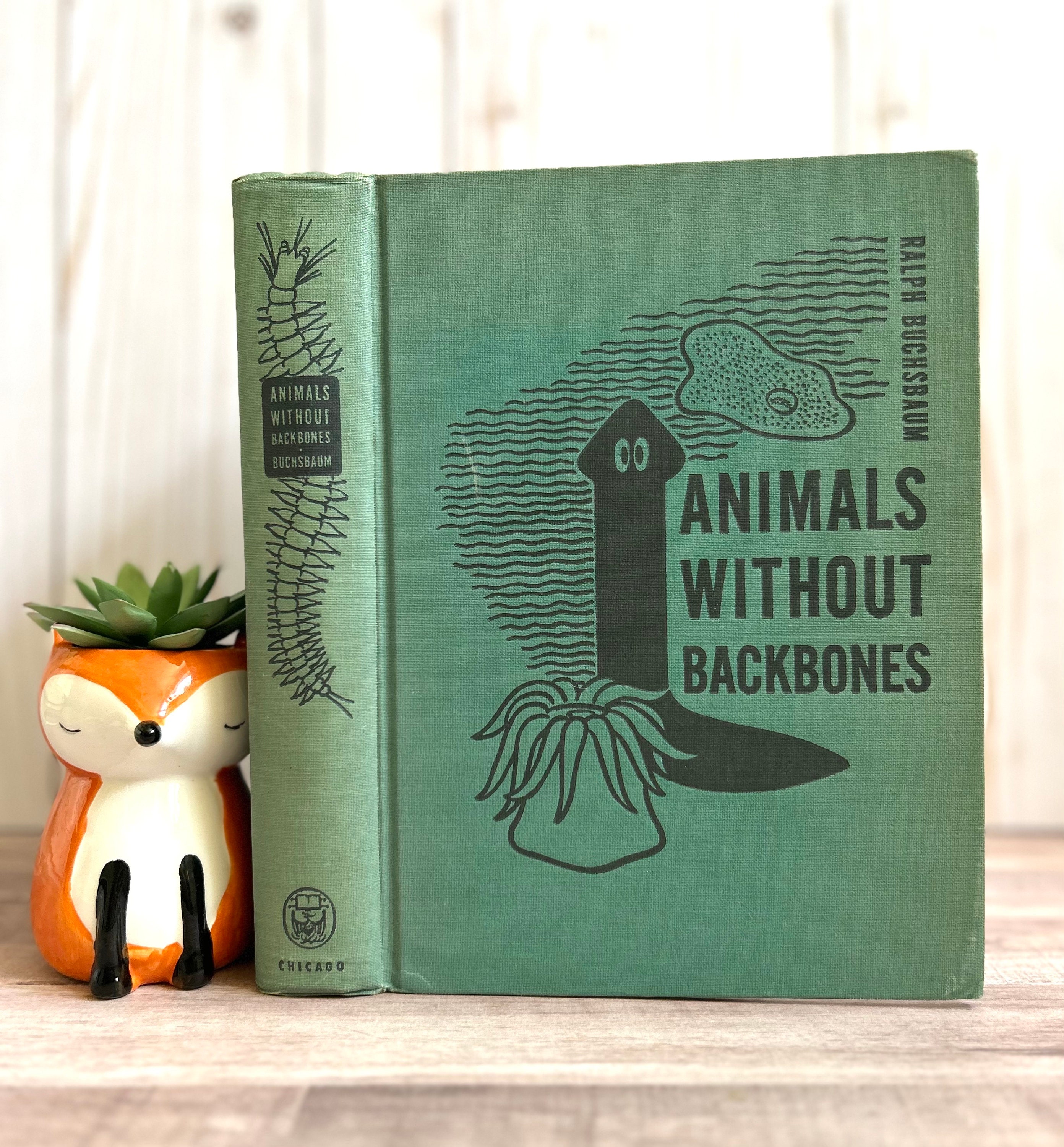 Animals Without Backbones Book