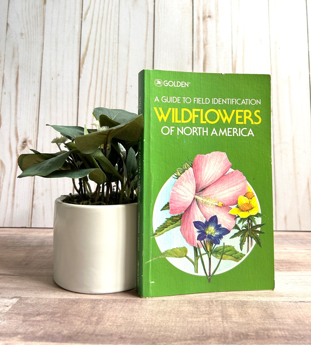 Golden Field Guide Wildflowers of North America 1984 - Etsy