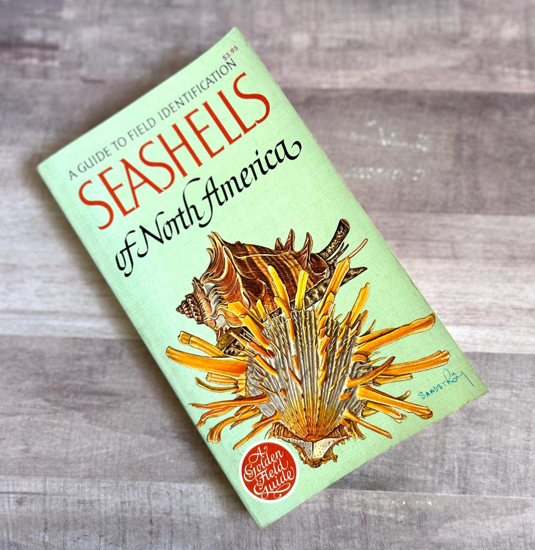 Golden Guide to Field Identification Seashells of North America by R ...