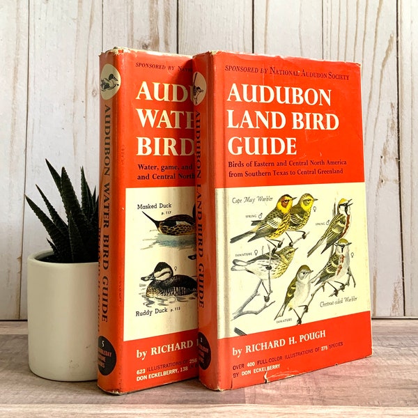 Vintage Birdwatching - Etsy