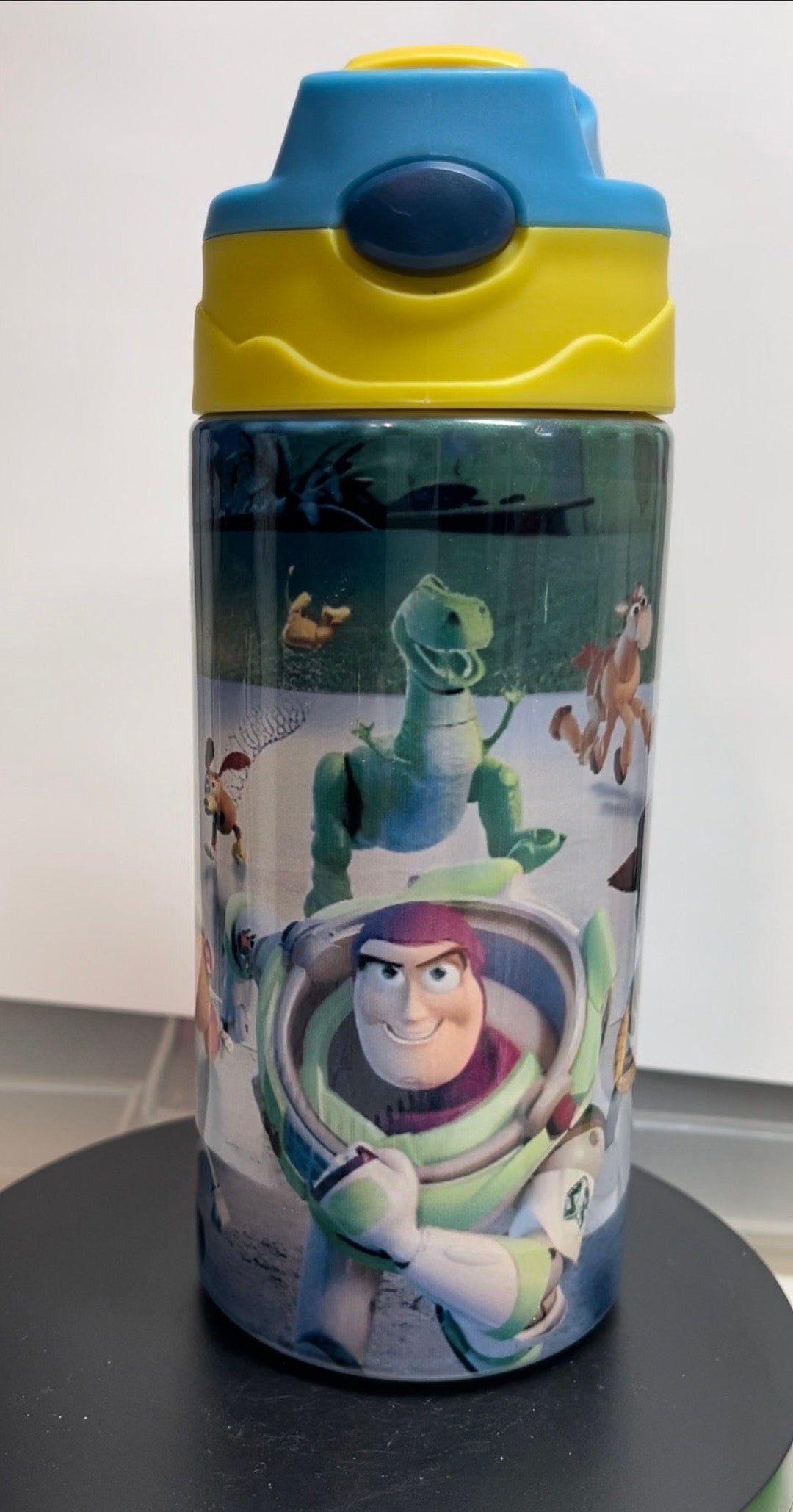 Buzz and Friends Woody 12 Oz Water Bottle - Etsy