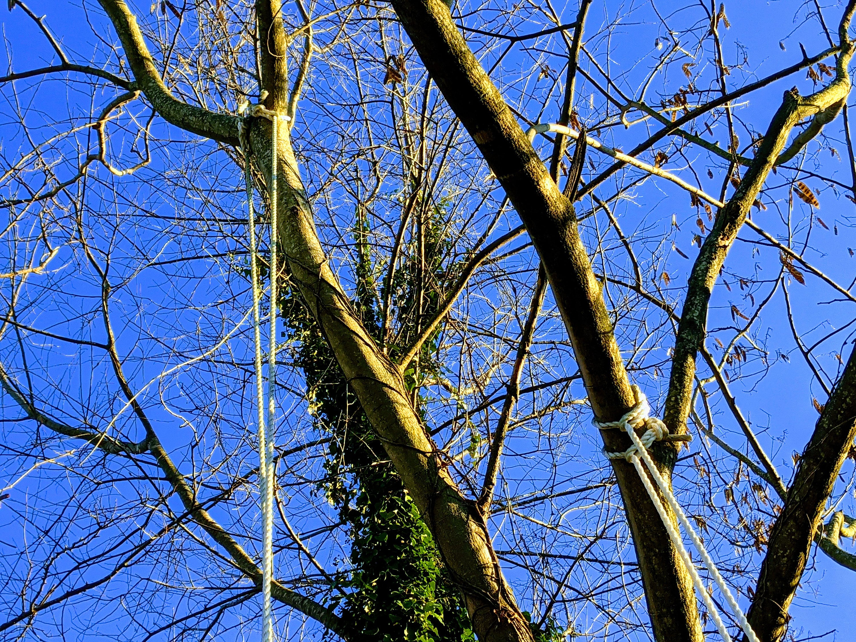 Large Tree Swing/ Unique Hand-crafted Rope Swing/ Two-person Outdoor ...