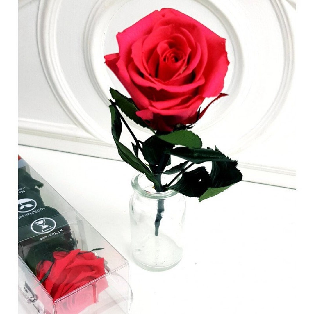 Eternal Rose tina Fuchsia - Etsy