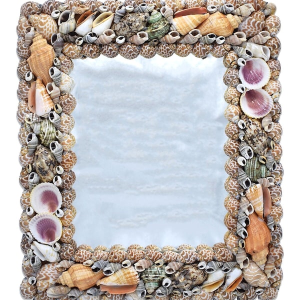 Sea Shell Mirror - Etsy