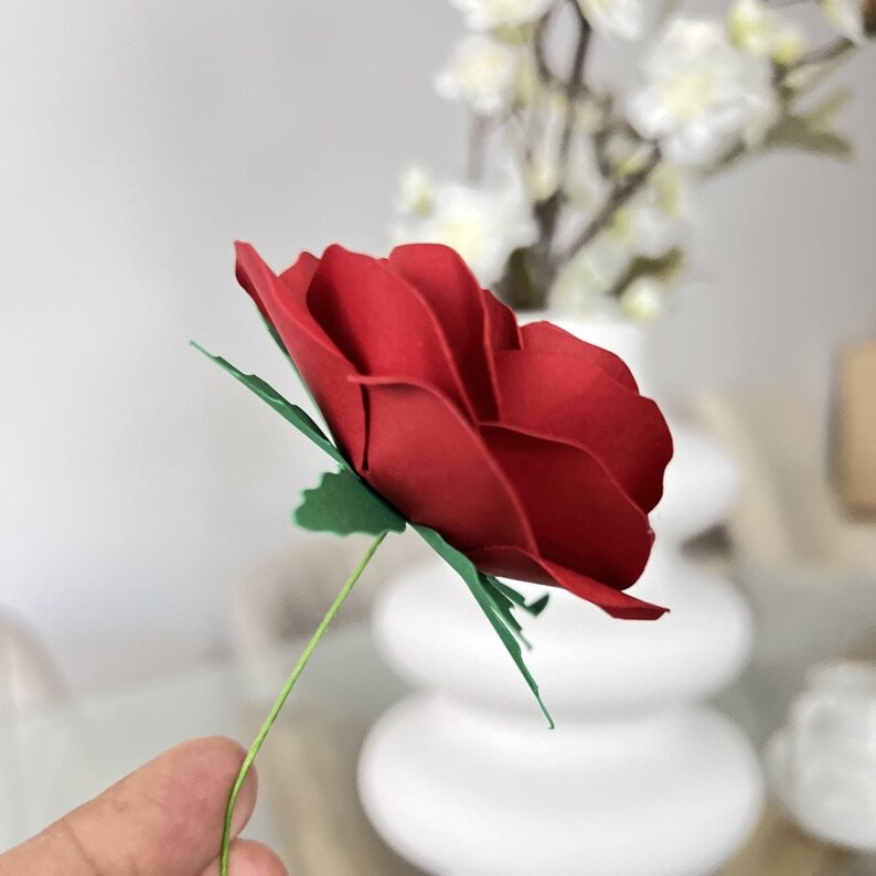 Rosa Baby Template SVG PDF Studio3 - Etsy