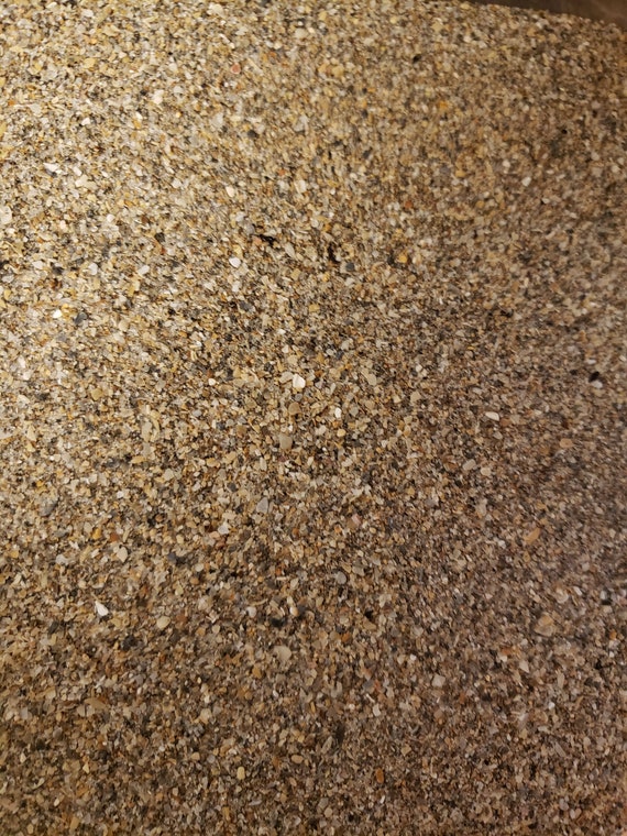 Treasure Coast Florida Beach Sand 14 or 12 LB - Etsy