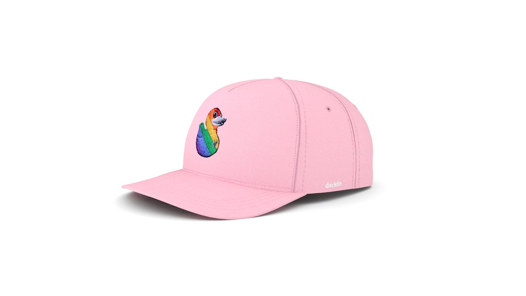 Cute Pink Cap With Rainbow Colored Duckling, Hat for Kids, Cotton ...