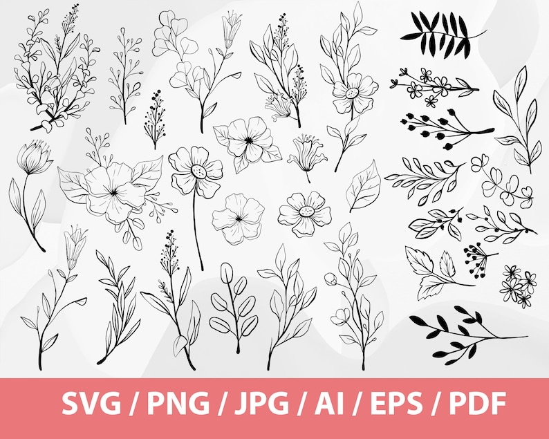 Botanical Svg Flower Svg Botanical Clipart Flower Clipart - Etsy