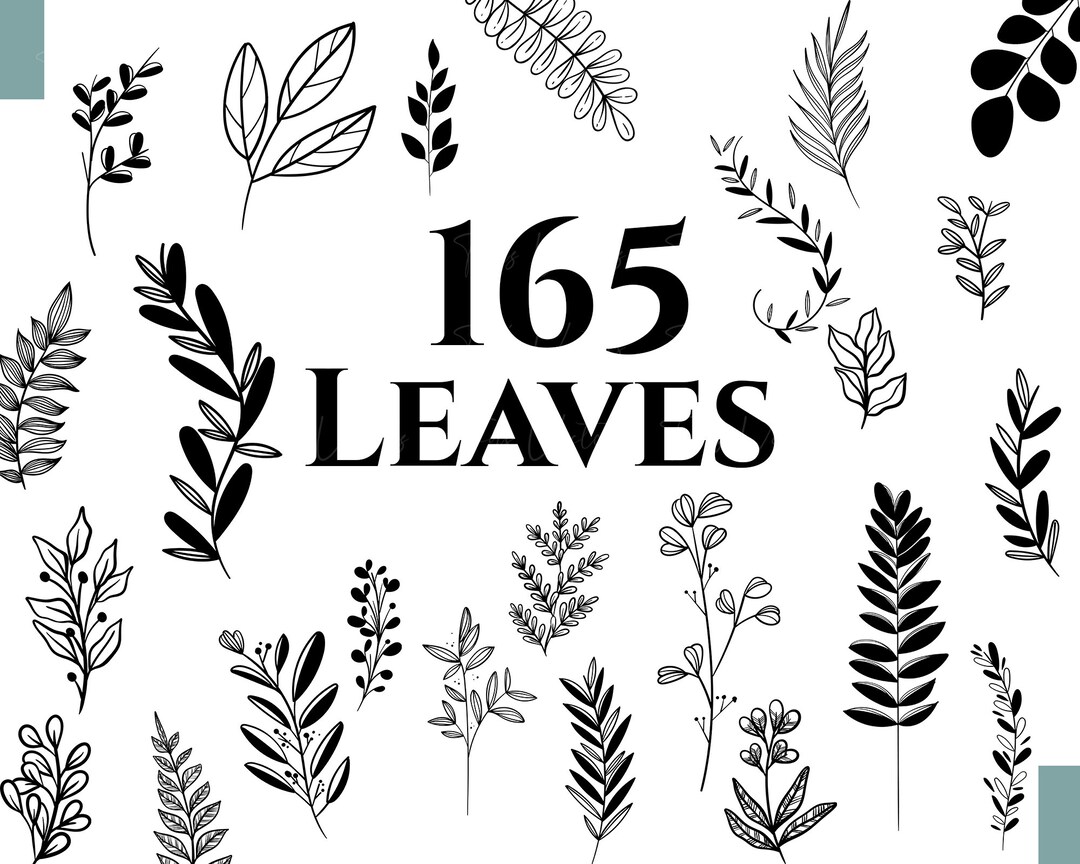 LEAVES SVG - 165 Leaf Svg File, Leaves SVG Bundle, Branches Svg, Leaves ...