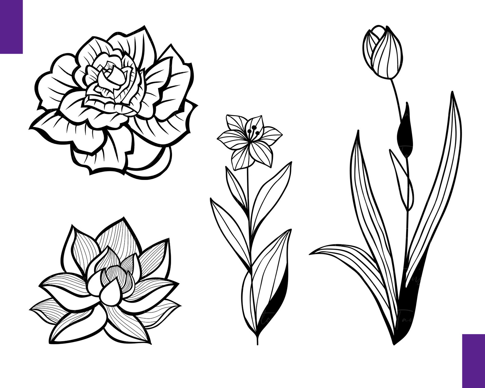 Floral Collection SVG - Floral Svg, Flower Svg, Botanical Clipart ...