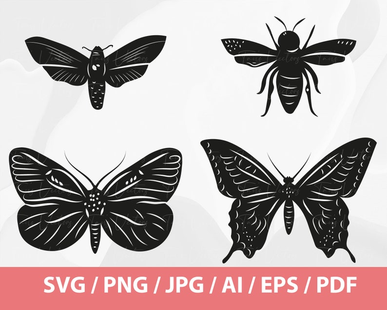 Birds Floral SET Birds Svg Bird Svg Bundle Birds on Branc - Etsy