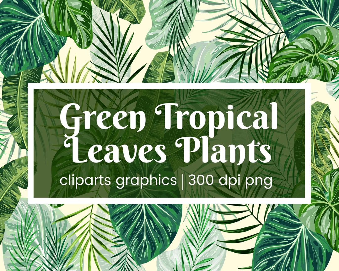 Green Tropical Leaves Hand Painted Watercolor - Tropical Background ...