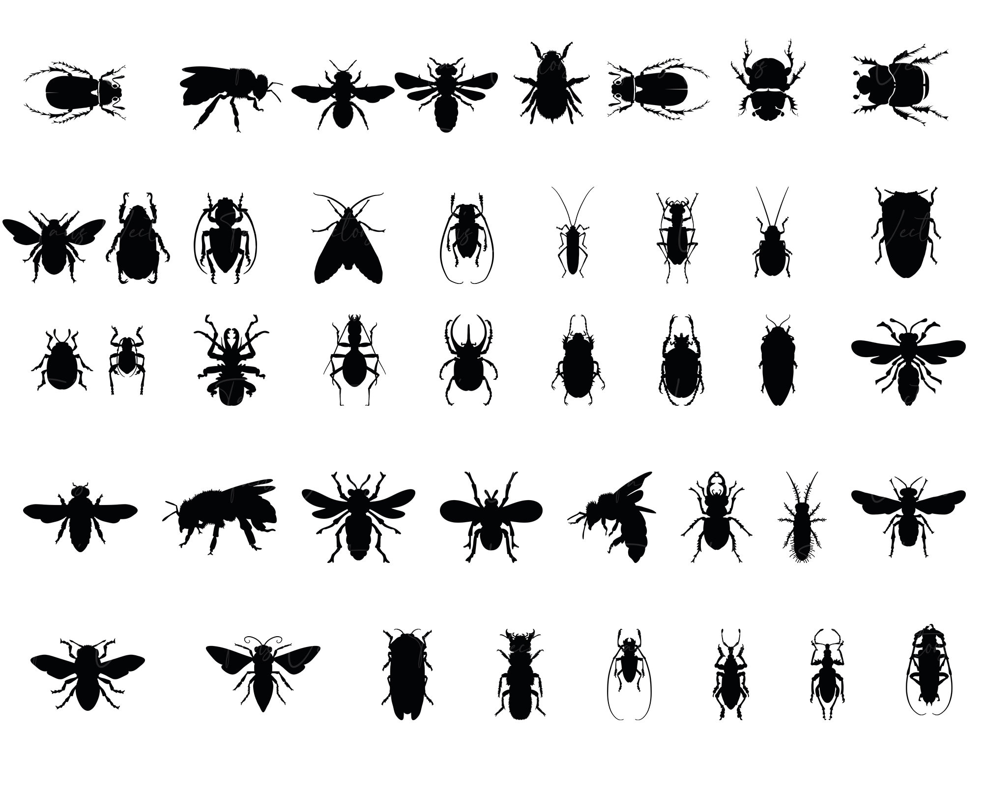 Silueta de insectos Insect svg Insect clipart Bugs svg - Etsy México