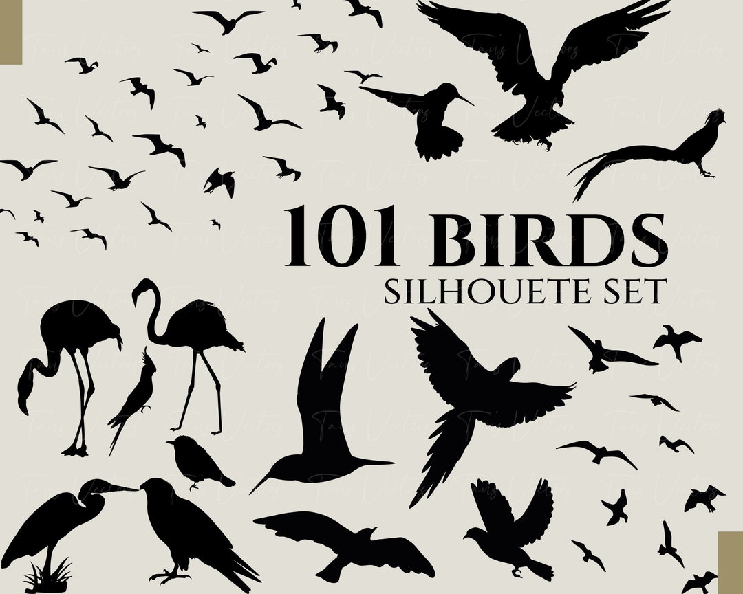 Birds Silhouette Set - Bird Svg, Bird Silhouette, Flock of Birds, Swan ...