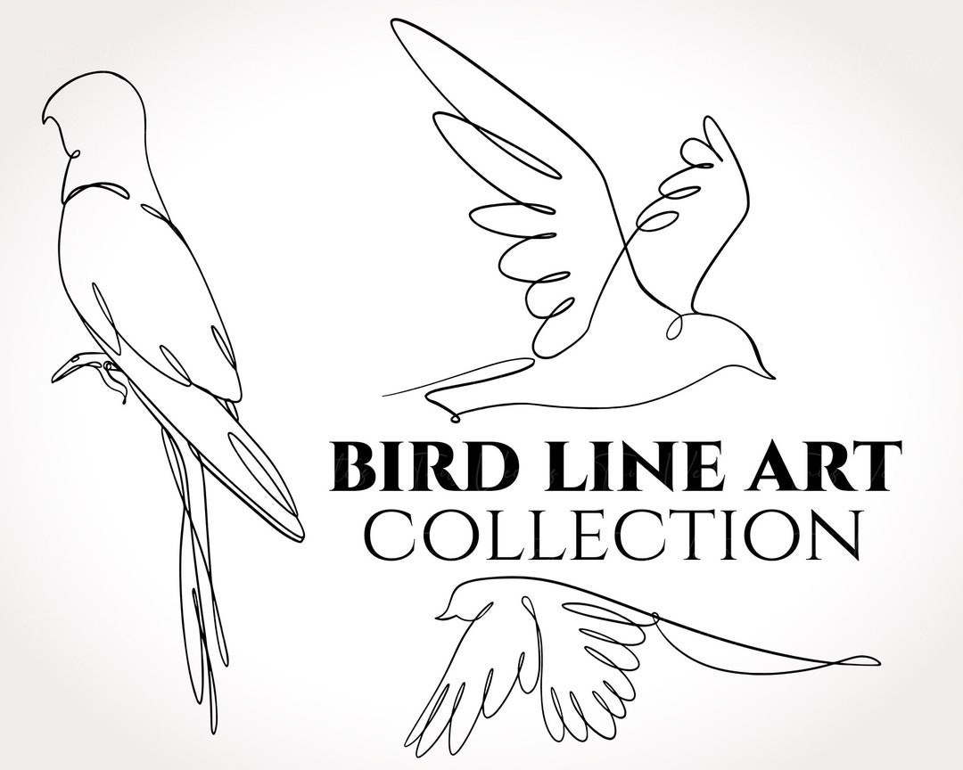 Bird Line Art Collection - Bird Svg, Minimalist Bird, Bird Wall Art ...