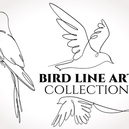 Parrot Line Art Bird Line Drawing Minimalist Wall Art Bird - Etsy