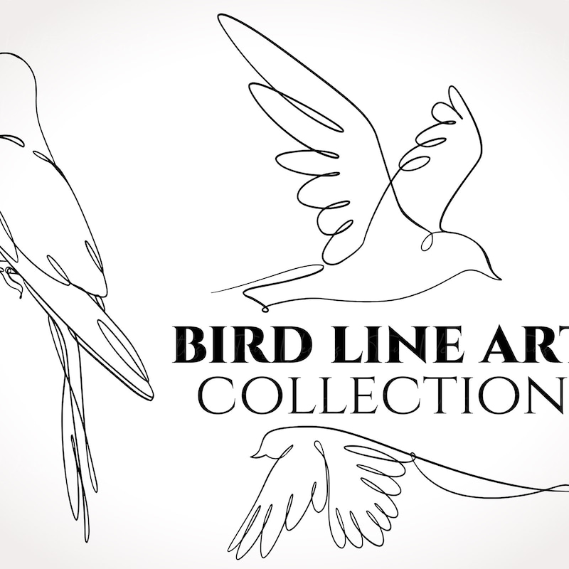 Bird Line Drawing - Etsy