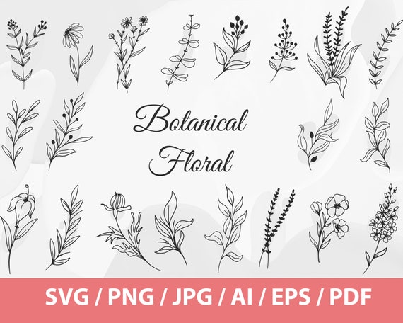 Botanical Floral Svg Floral Svg Plant Svg Doodles Branches | Etsy