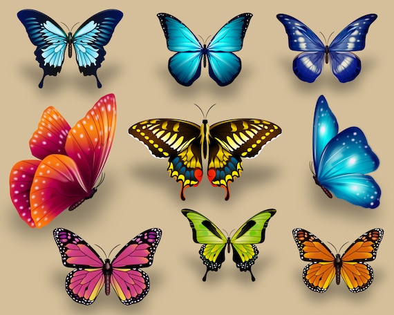 Excellent Butterfilies SVG Butterfly SVG Editable - Etsy