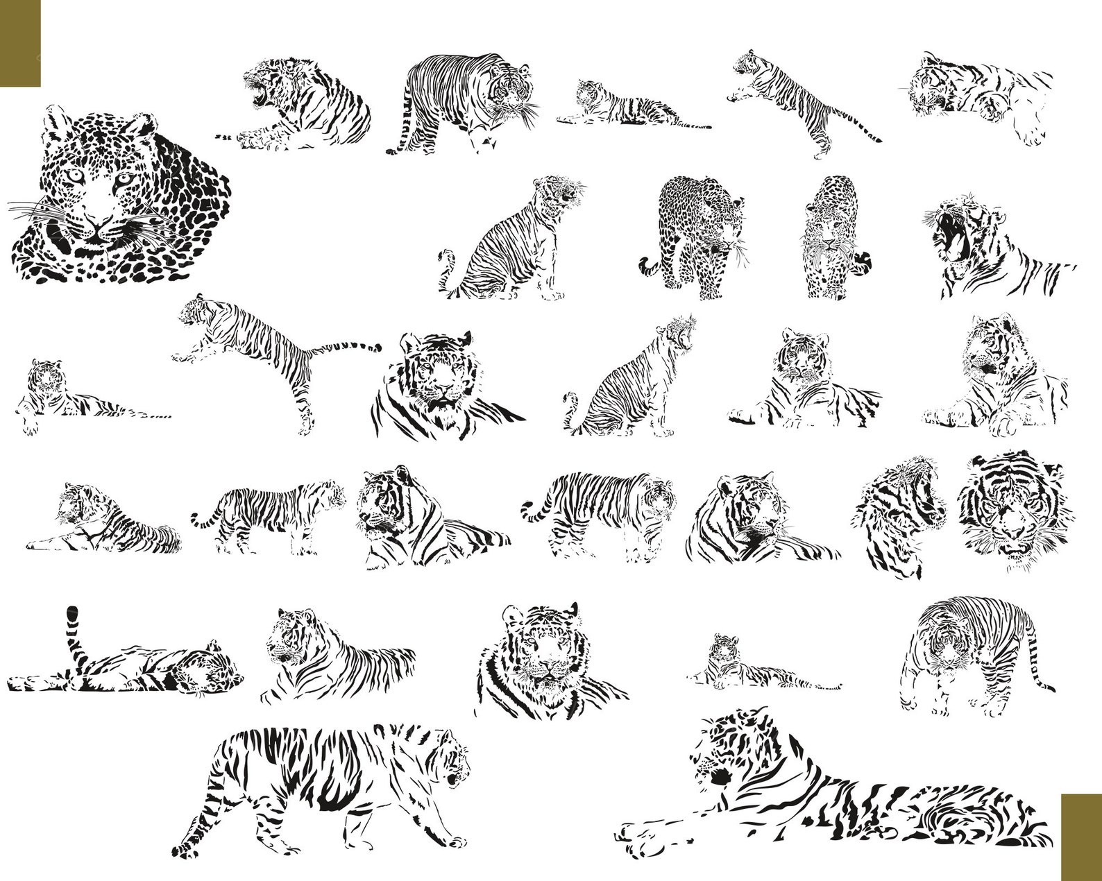 Tiger Collection Set Tiger Svg Tiger Face Svg Baby Tiger - Etsy