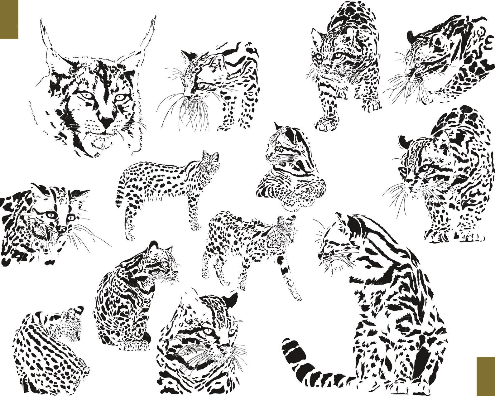 Tiger Collection Set Tiger Svg Tiger Face Svg Baby Tiger - Etsy