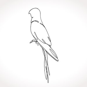 Bird Line Art Collection - Bird Svg, Minimalist Bird, Bird Wall Art ...