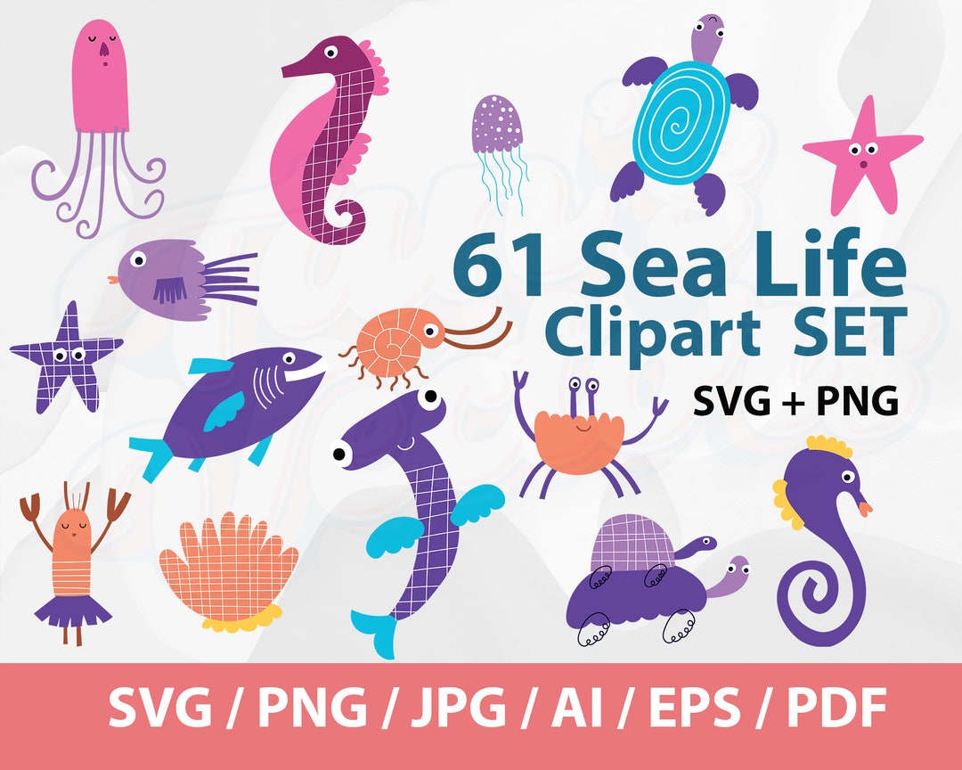 Ocean Sea Life Clipart SET - Sea Animals Download, Ocean Life Clipart ...