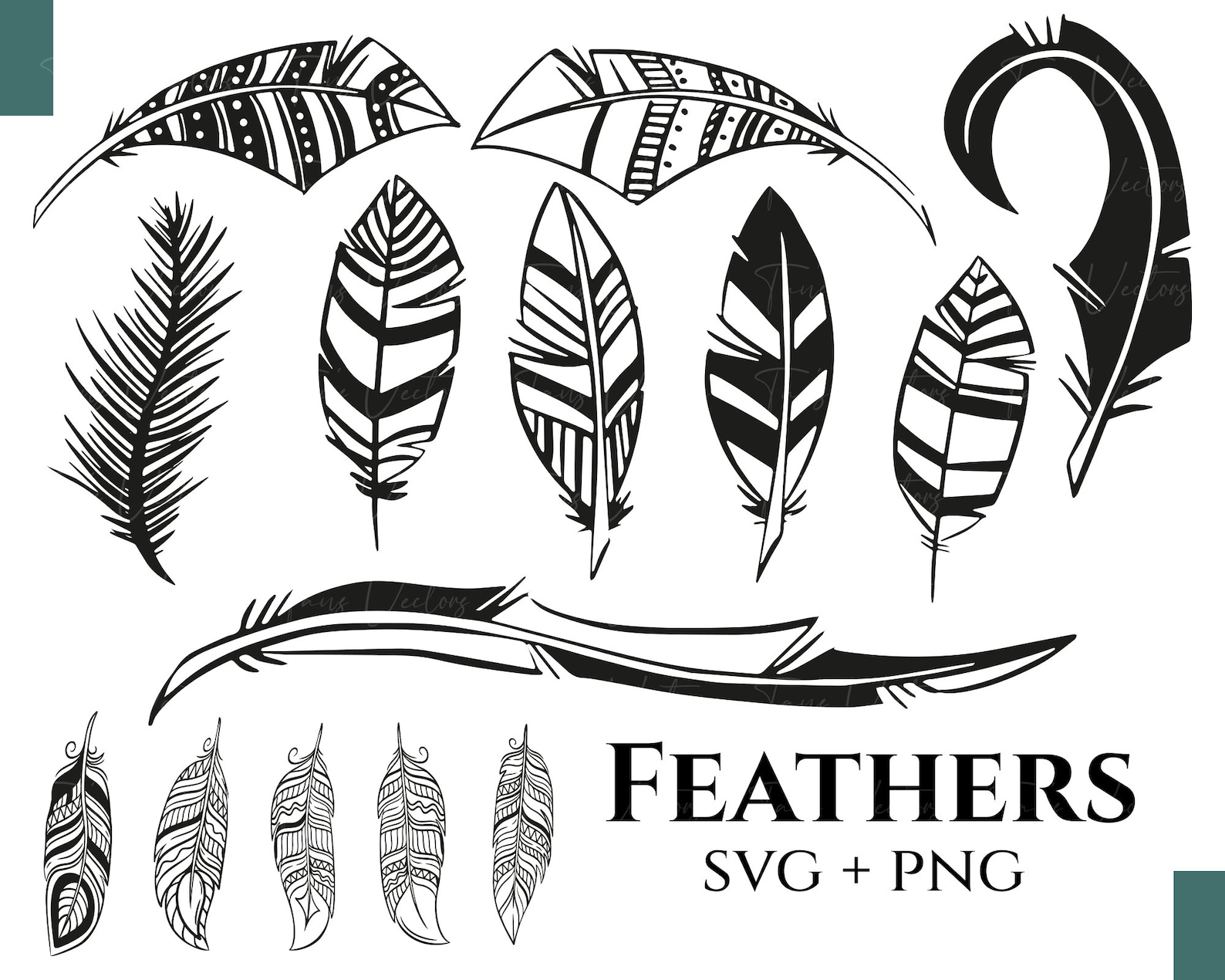 FEATHERS SVG Feather Svg Feather Clipart Feather - Etsy