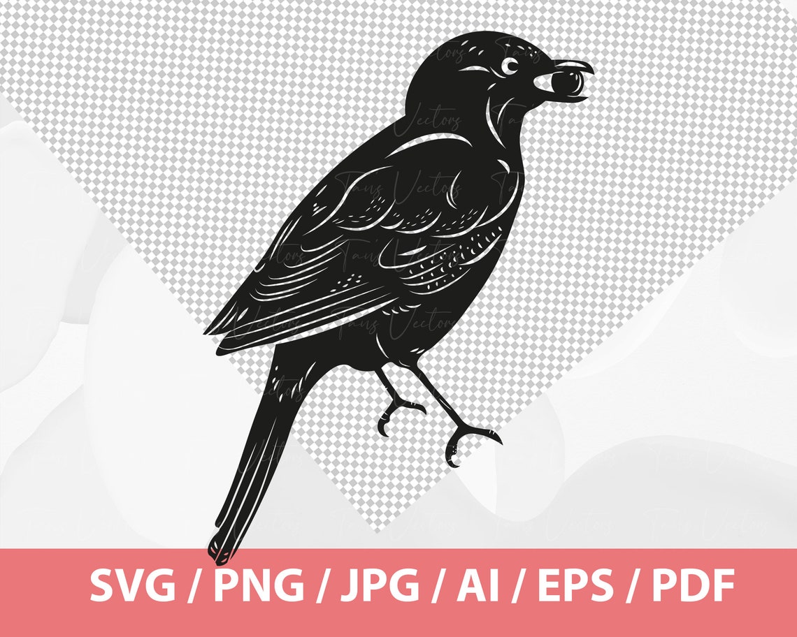 Birds Floral SET Birds Svg Bird Svg Bundle Birds on Branc - Etsy