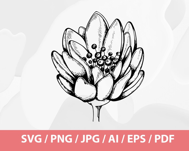 Hand Drawn Flowers SET Flowers Svg Blooming Flower Svg - Etsy
