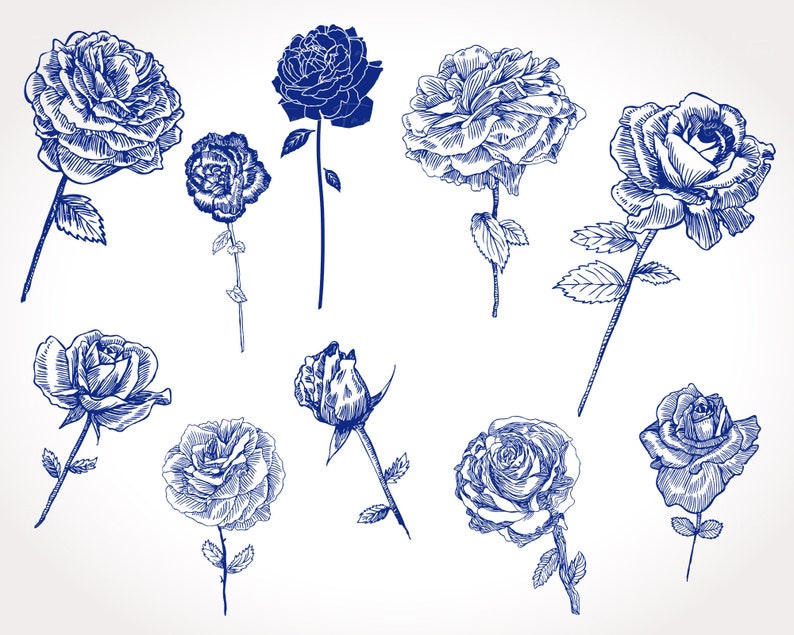 Flowers Collection Set - Flowers Svg, Rose Svg, Floral Svg, Botanical ...