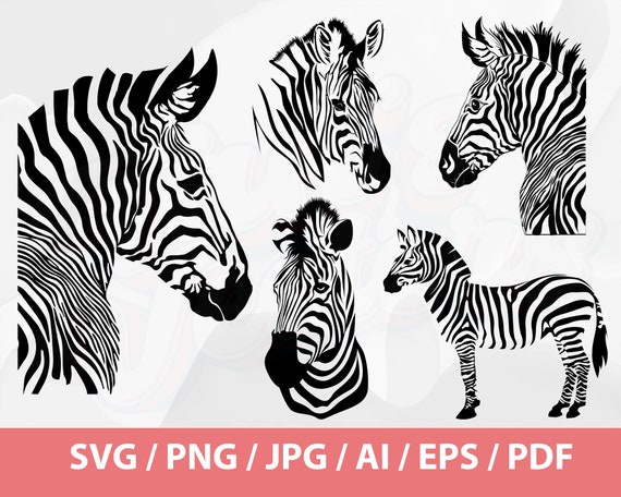 Zebra Vector Set Zebra SVG Zebra Clipart Zebra Files - Etsy